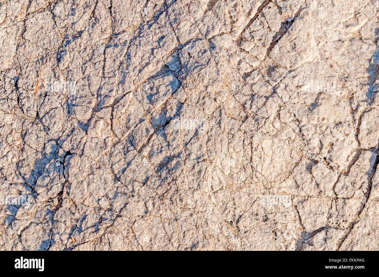 White texture of sea stone Stock Photo - Alamy