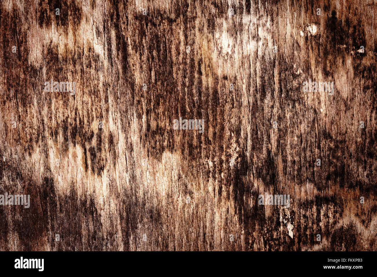 Old moldy wood texture background hi-res stock photography and images ...