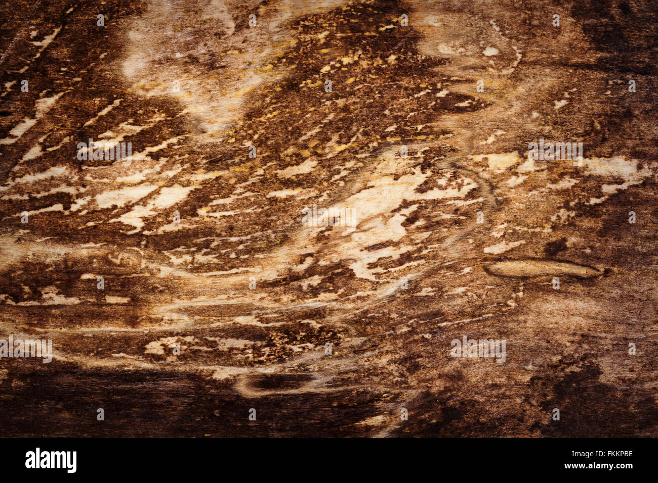 Old moldy wood texture background hi-res stock photography and images ...