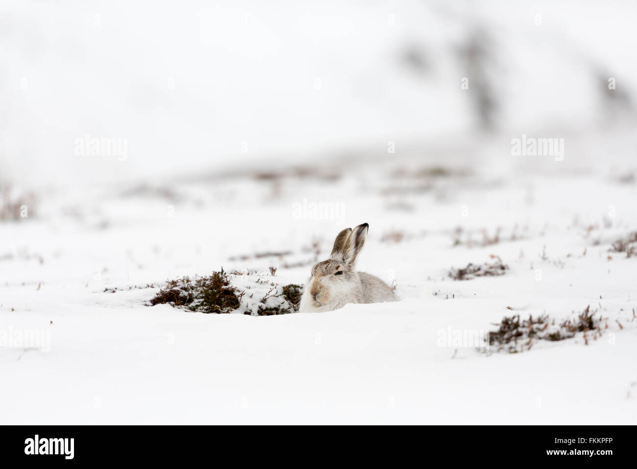Findhorn valley inverness hi-res stock photography and images - Alamy