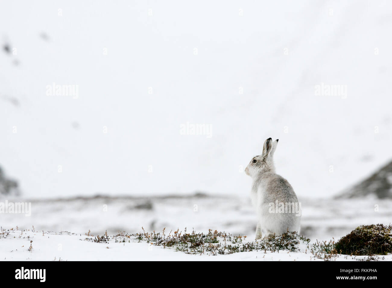 Loch findhorn hi-res stock photography and images - Alamy