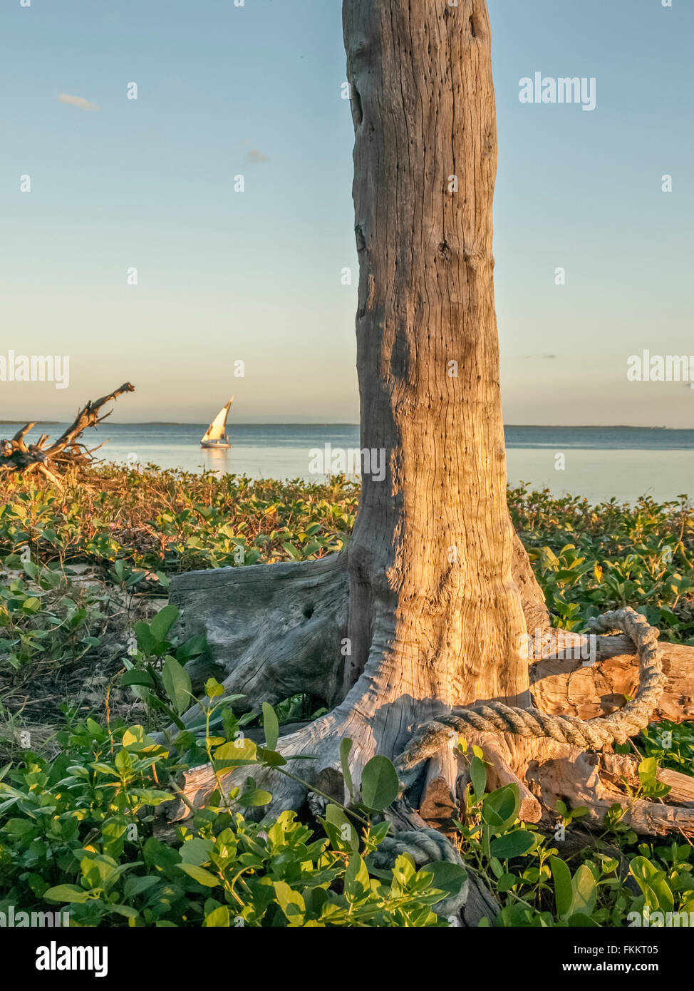 Mozambique Inhambane Southern Africa Stock Photo - Alamy