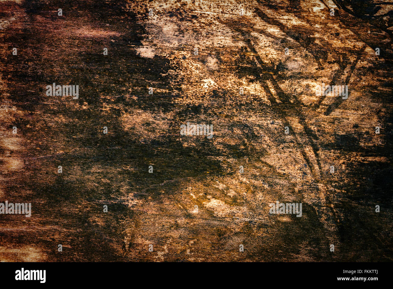 Old rotten moldy wood texture background Stock Photo - Alamy