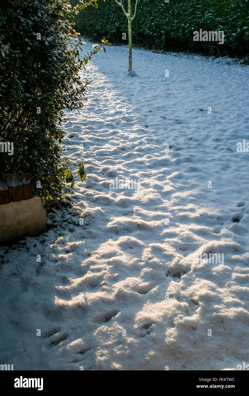 Glancing light hi-res stock photography and images - Alamy