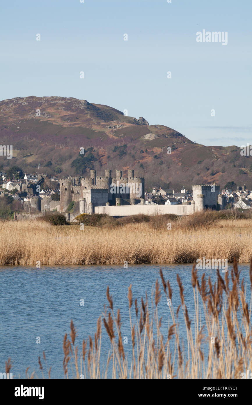 Medieval castle north wales hi-res stock photography and images - Alamy