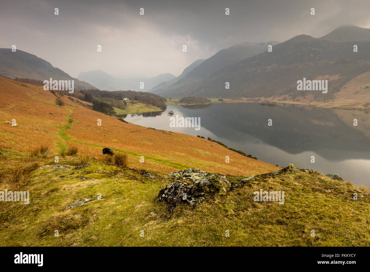 Crummock lake district hi-res stock photography and images - Alamy