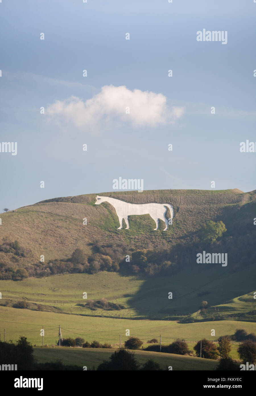 England scarp escarpment chalk hi-res stock photography and images - Alamy