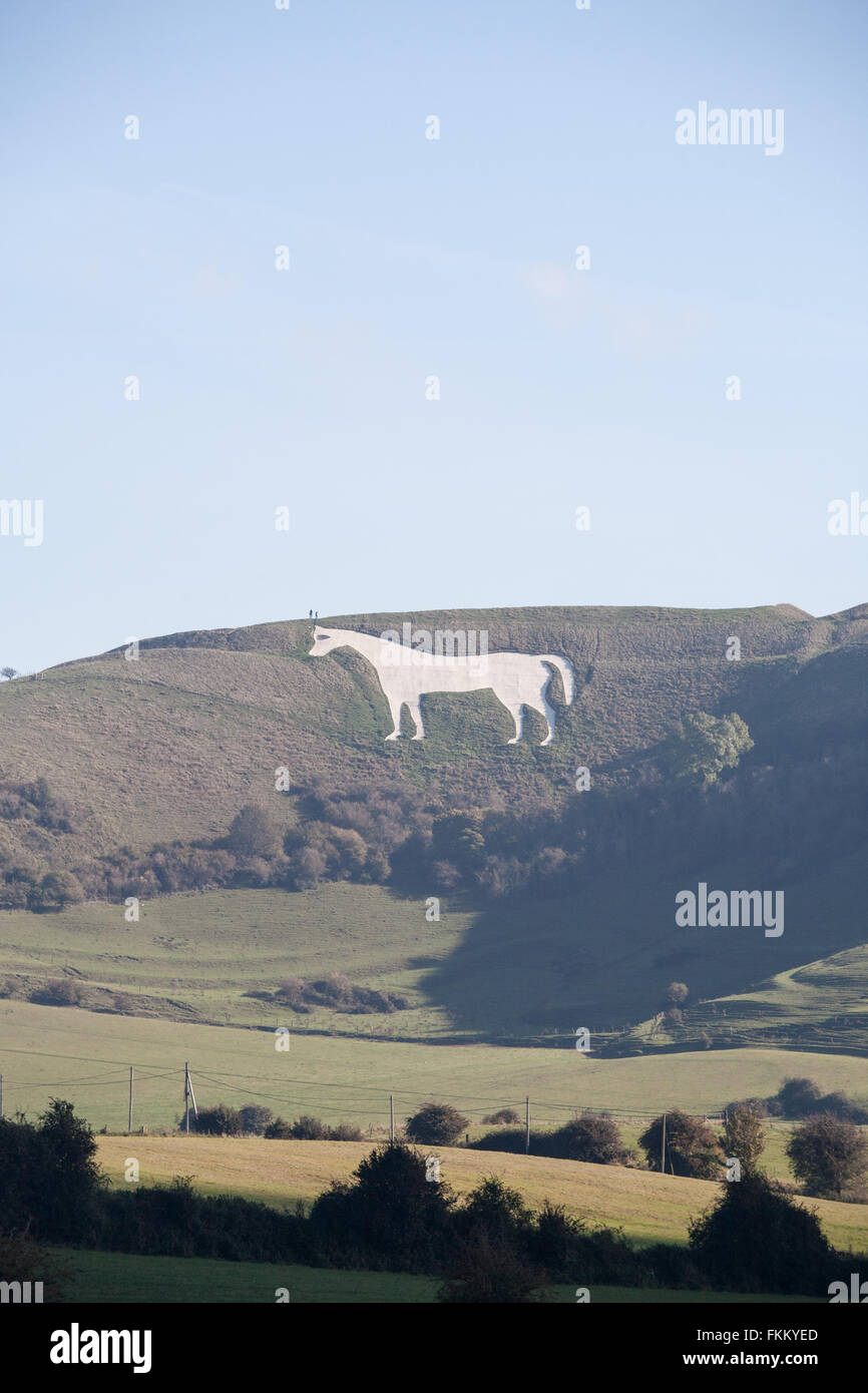 Chalk figure of white horse carved into hillside hi-res stock ...