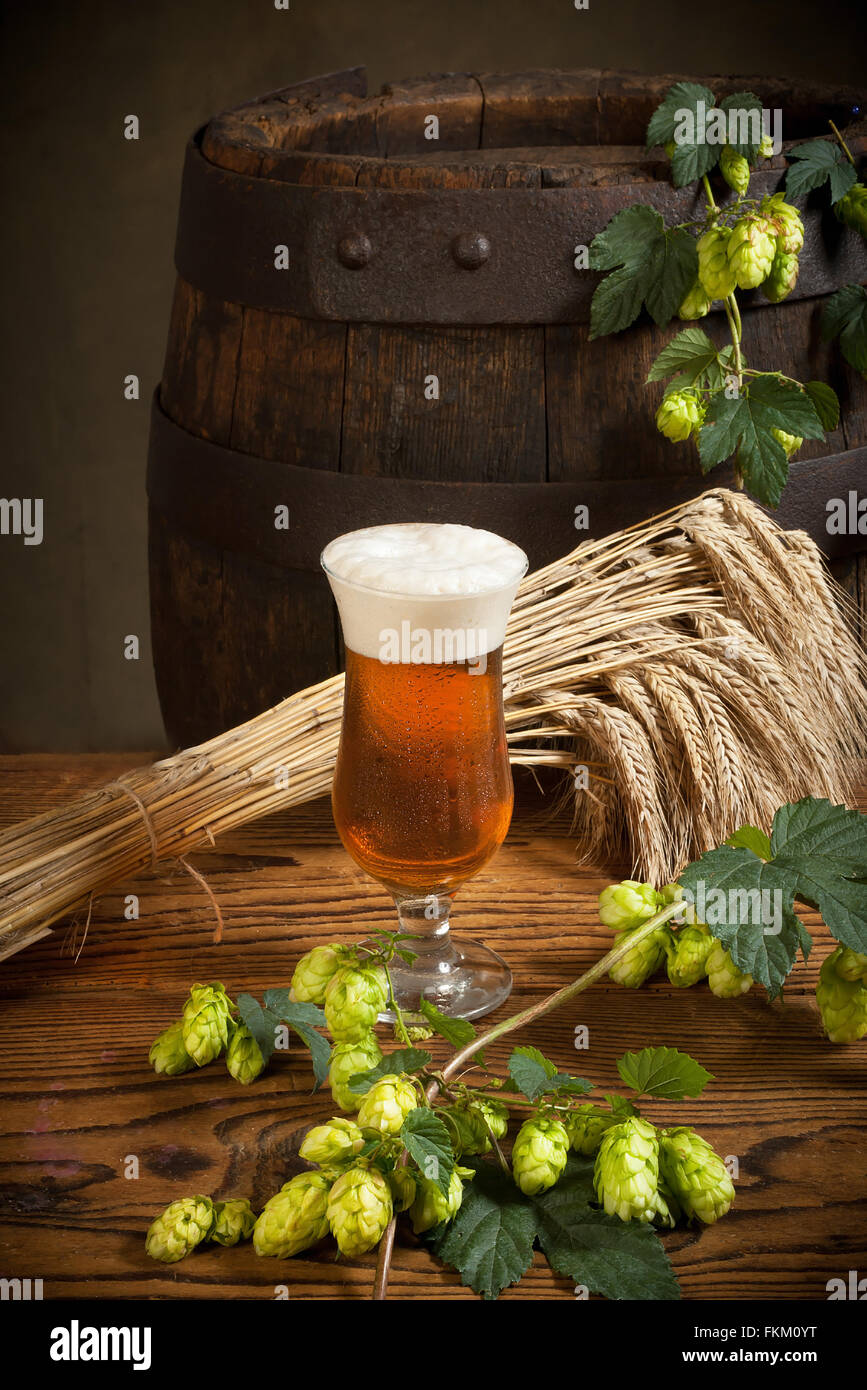 Suds alcohol beer glass ale hop hops beverage hi-res stock photography ...