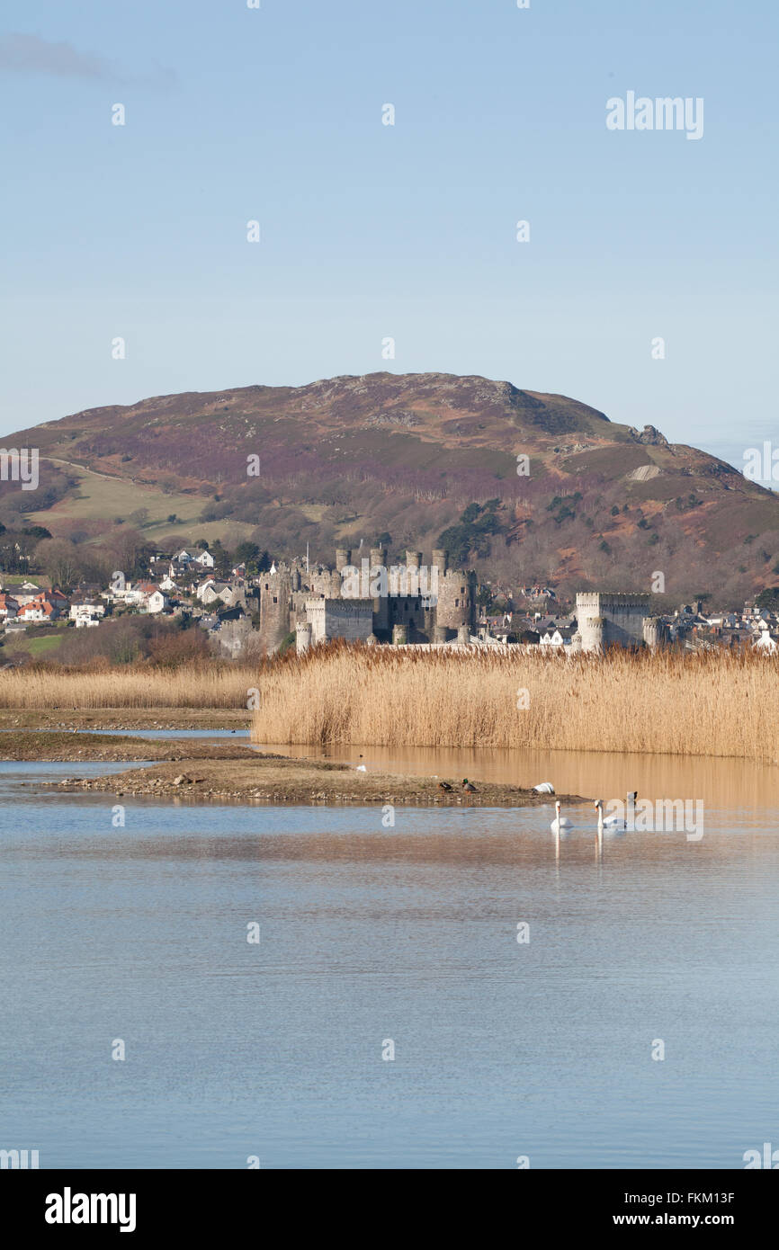 Conwy Medieval Castle Gwynedd North Wales United Kingdom Stock Photo ...