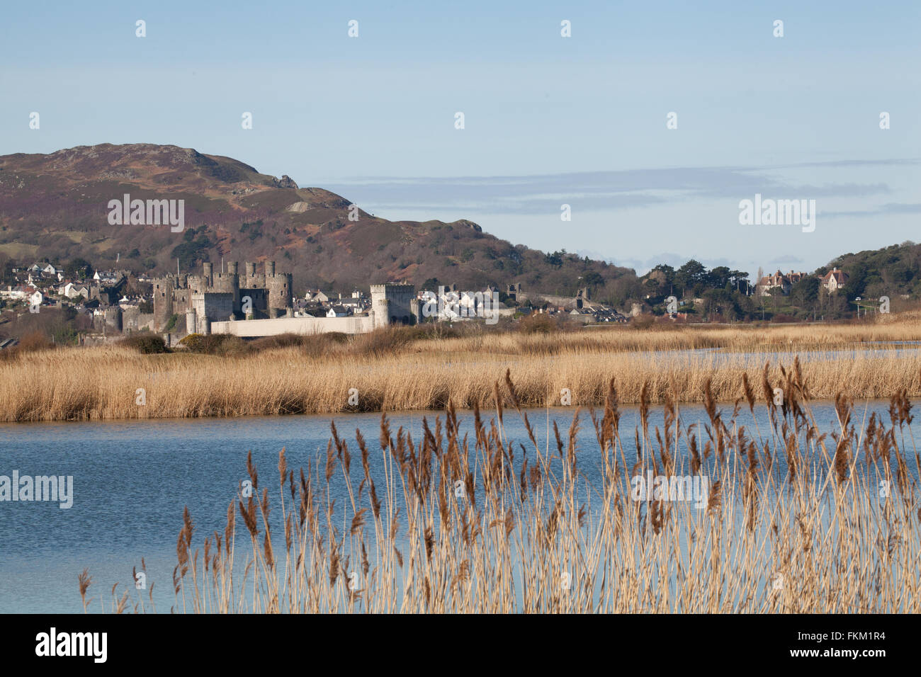 Conwy Medieval Castle Gwynedd North Wales United Kingdom Stock Photo ...