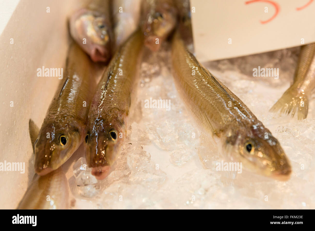 Fish for sale, Tsukiji Market, Tokyo, Japan Stock Photo - Alamy