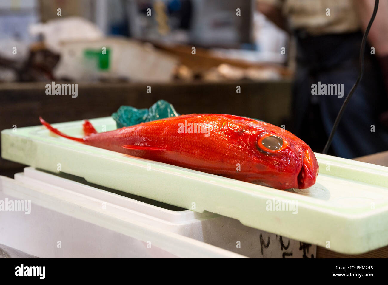 Fish for sale, Tsukiji Market, Tokyo, Japan Stock Photo - Alamy
