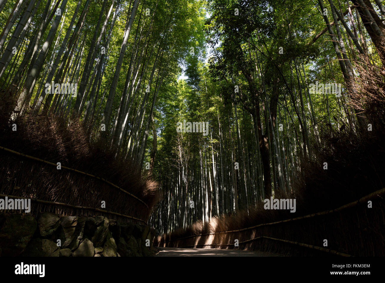 Arashiyama bamboo groove hi-res stock photography and images - Alamy