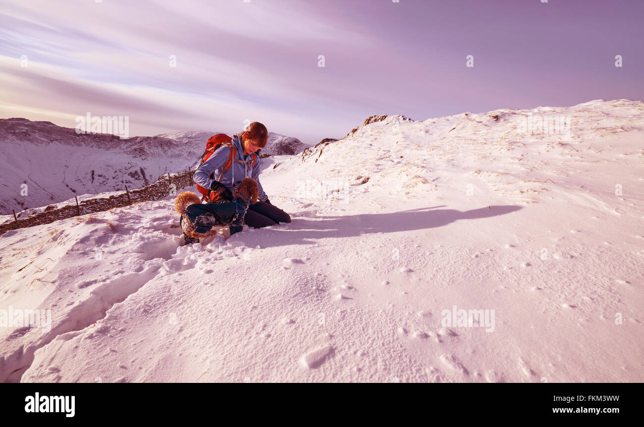 A hiker checking their dogs paws from for snow while hiking in winter ...