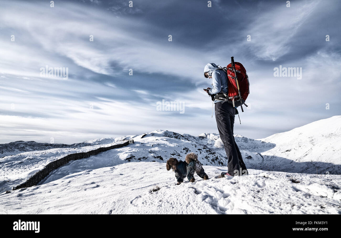 A hiker checking their position in the mountains on a GPS and map ...