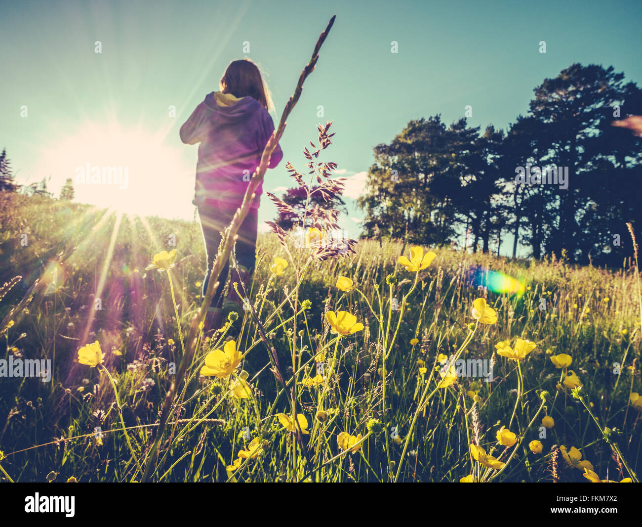 Children playing in a meadow hi-res stock photography and images - Alamy