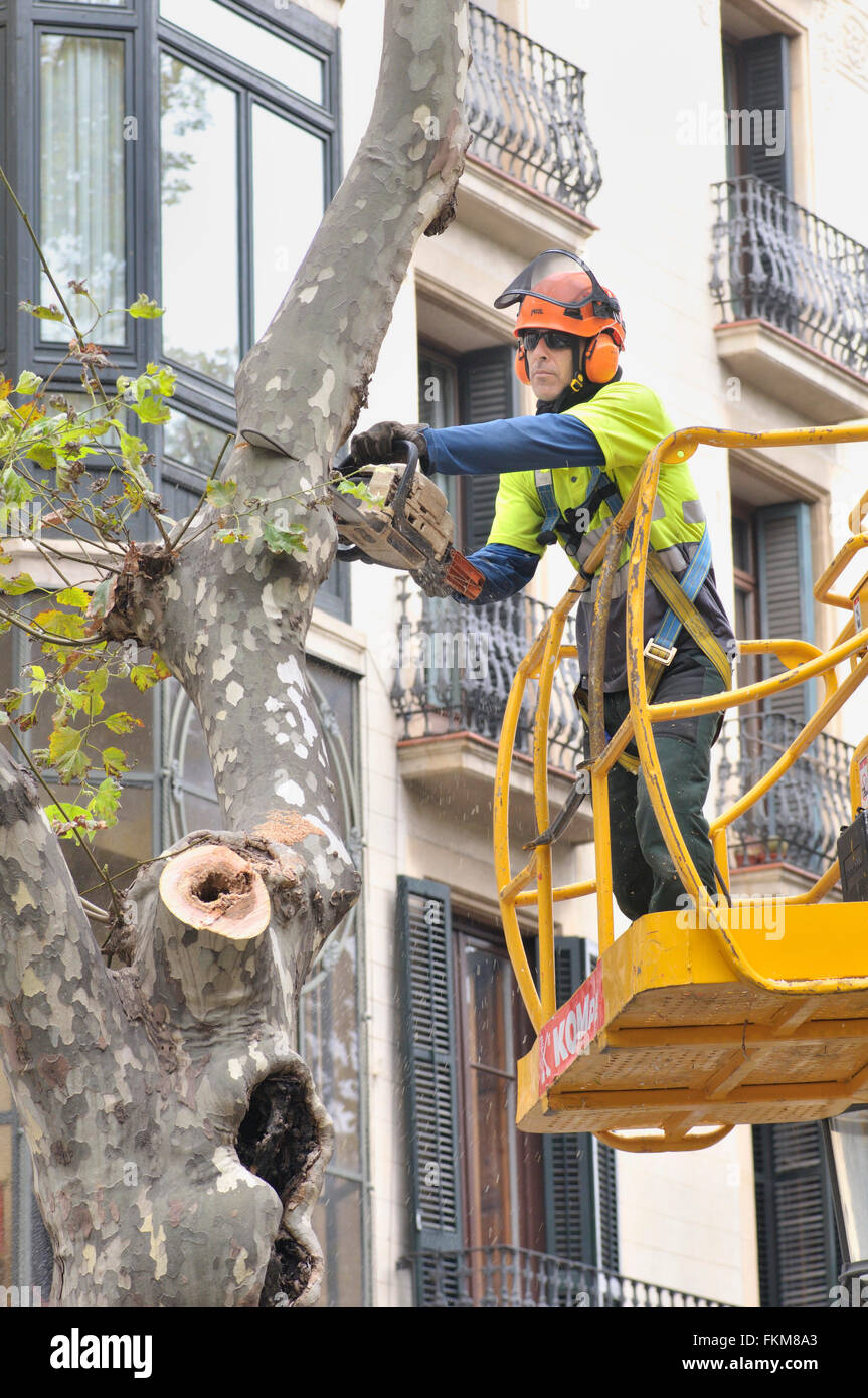 Prune men hi-res stock photography and images - Alamy