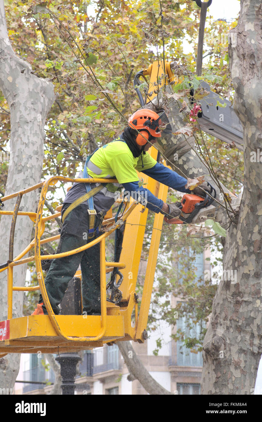 Prune men hi-res stock photography and images - Alamy