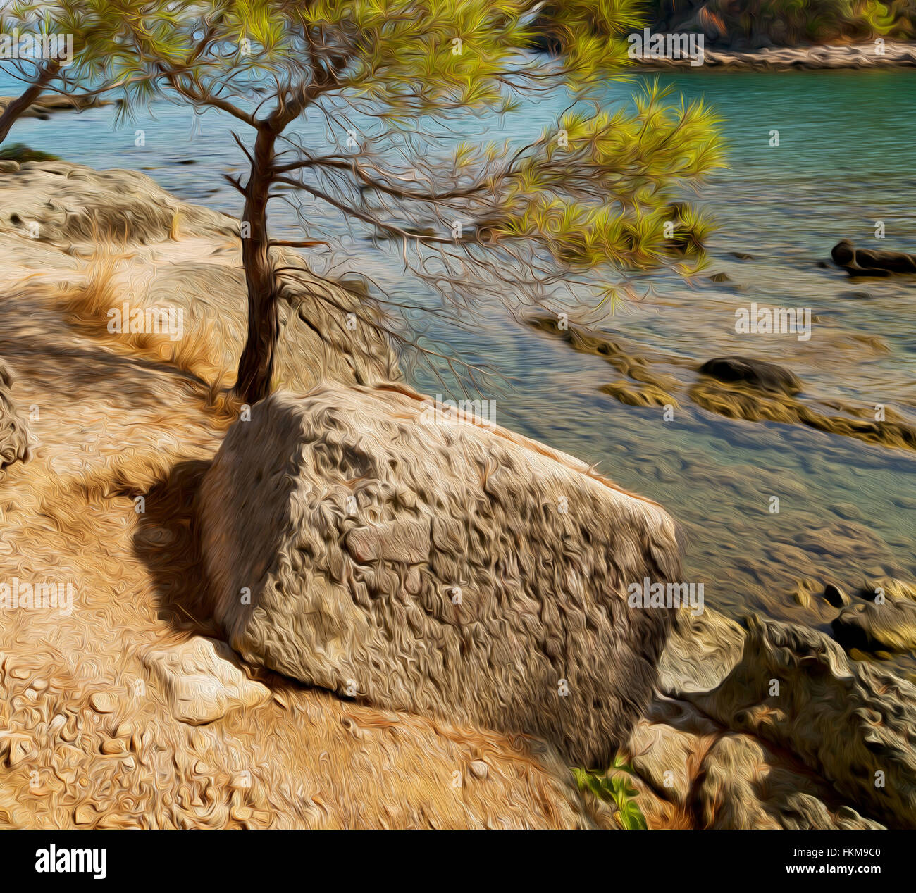 in the mediterranean see turkey europe pine plant and tree Stock Photo ...