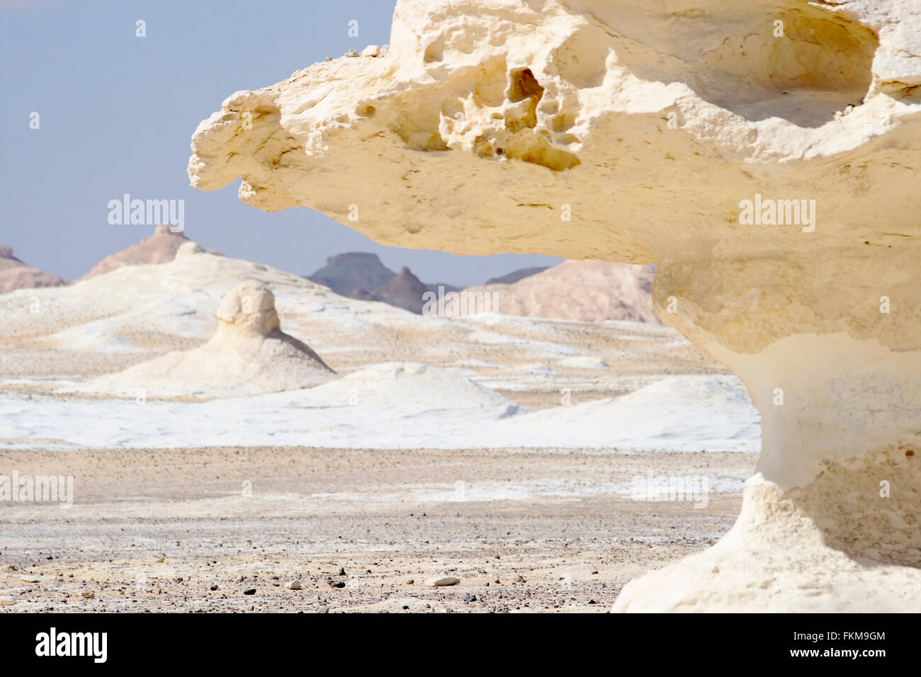 Sahara desert mushroom rock hi-res stock photography and images - Alamy