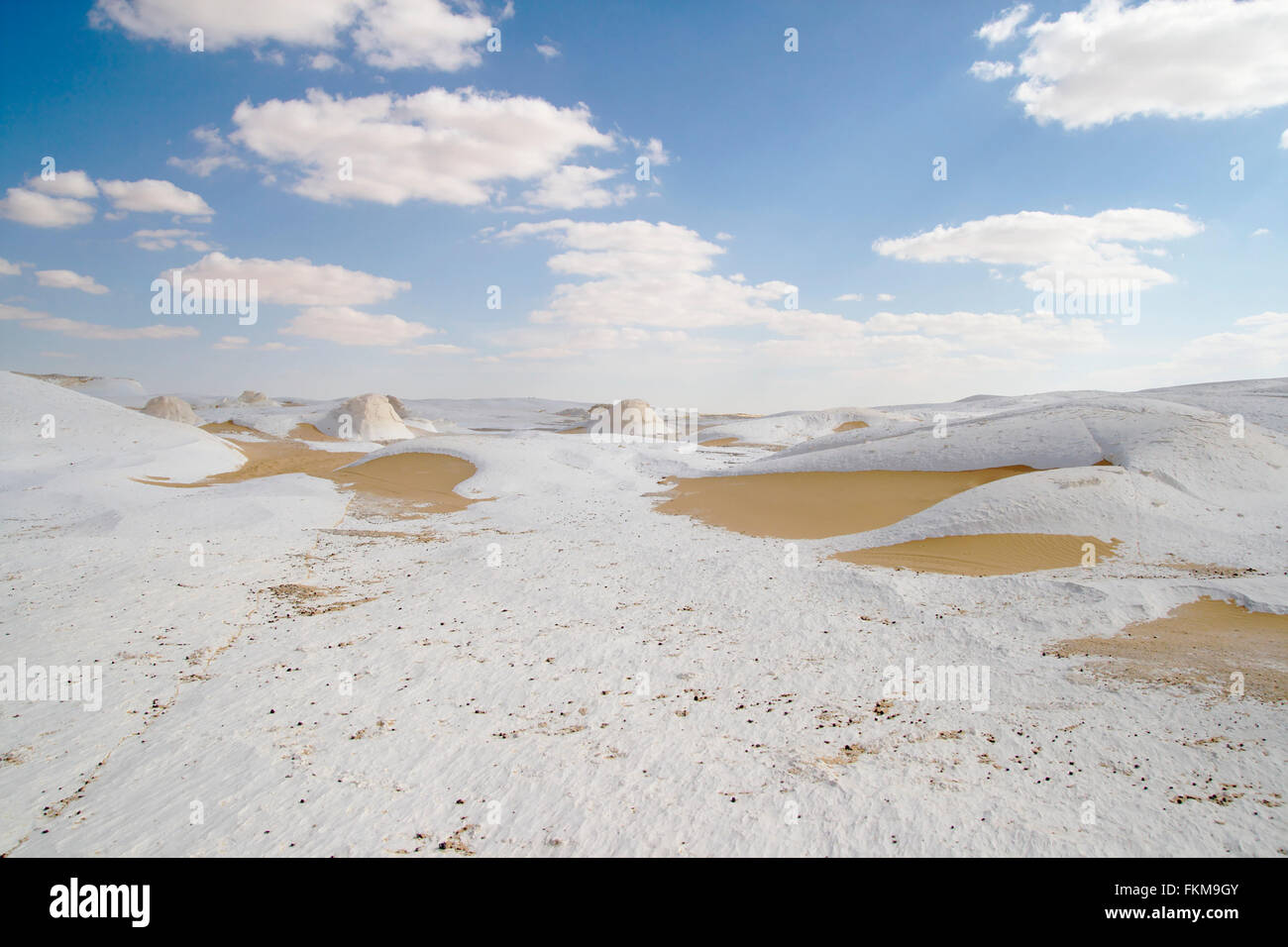 Cretaceous desert hi-res stock photography and images - Alamy