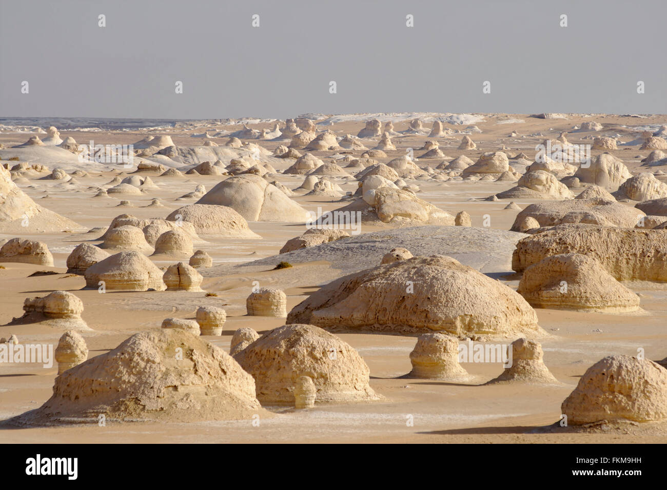 Jardang hi-res stock photography and images - Alamy