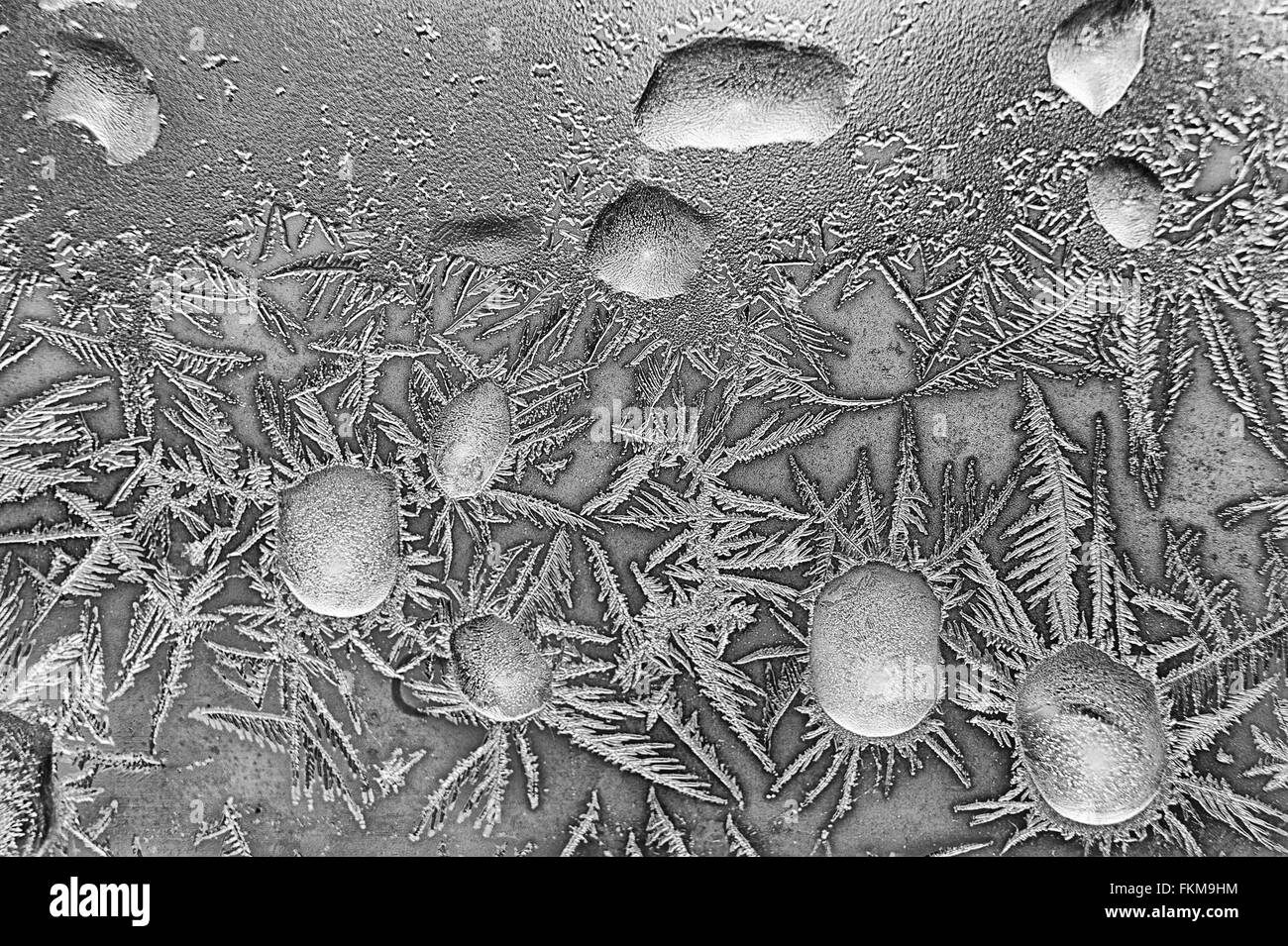 Frosted glass window hi-res stock photography and images - Alamy