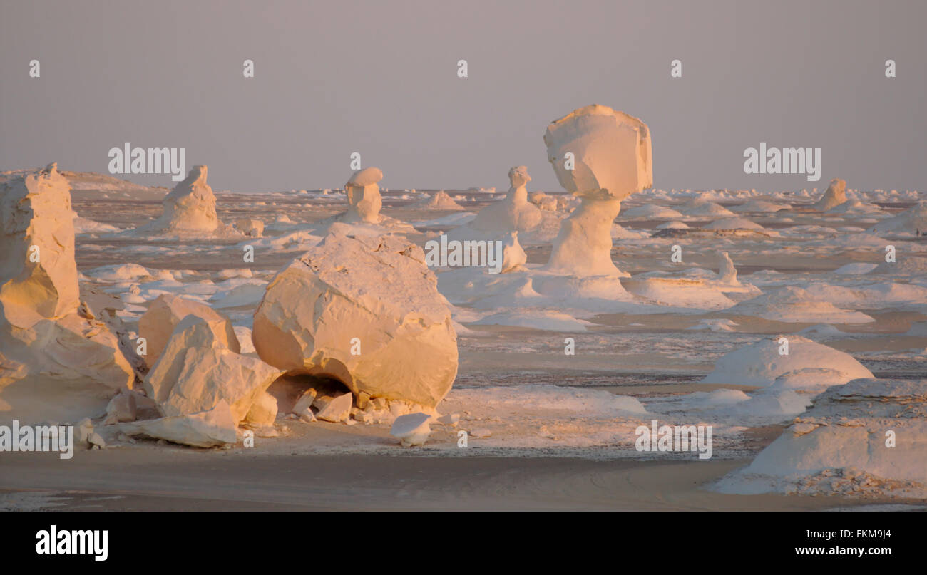 Evening light egypt hi-res stock photography and images - Alamy