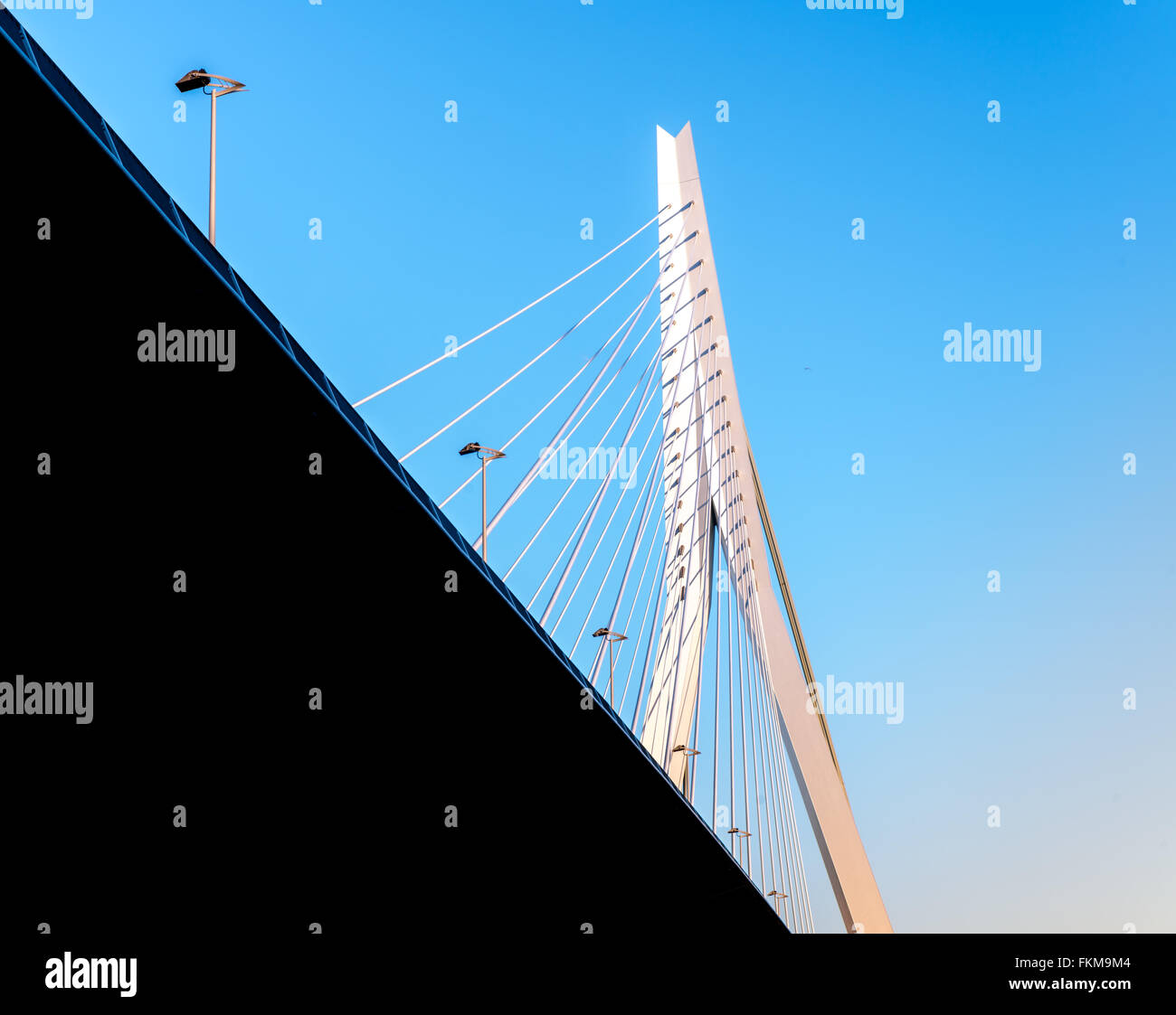 Close up of Erasmus Bridge Stock Photo - Alamy
