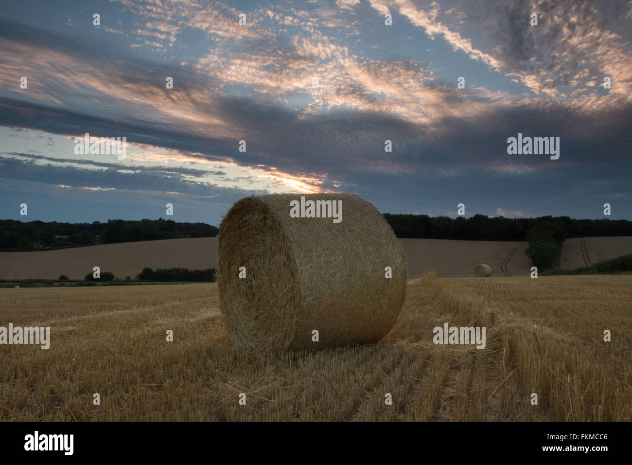 Hay bales in field hi-res stock photography and images - Alamy