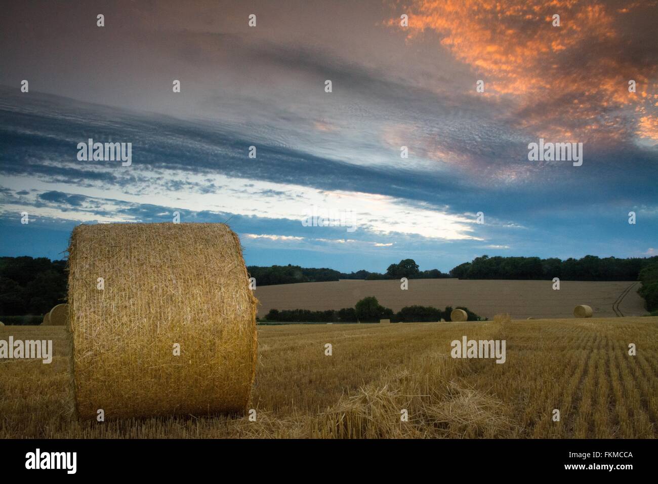Hay bales in field at sunset Stock Photo - Alamy