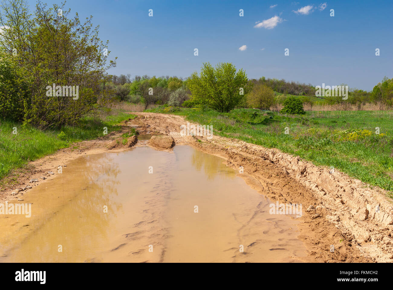 Spring landscape with big puddle on an earth road Stock Photo - Alamy