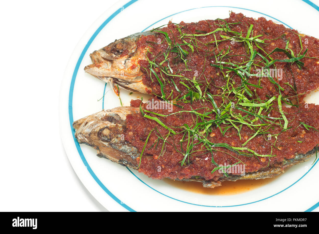 Stiff tail hi-res stock photography and images - Alamy