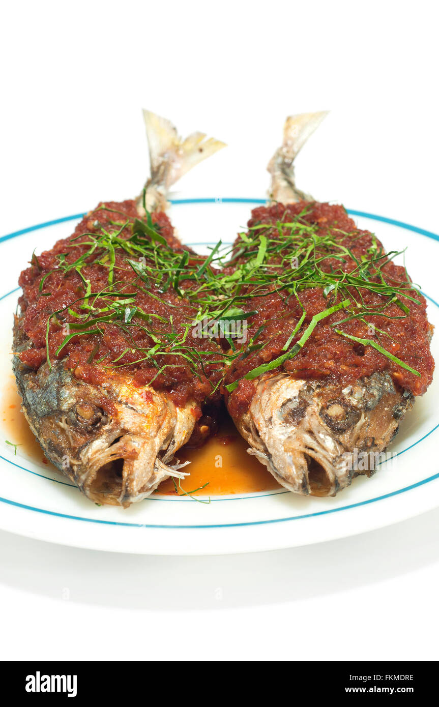 Stiff tail hi-res stock photography and images - Alamy