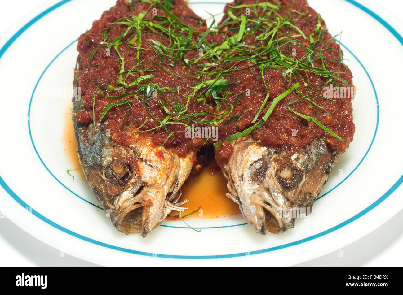 Stiff tail hi-res stock photography and images - Alamy