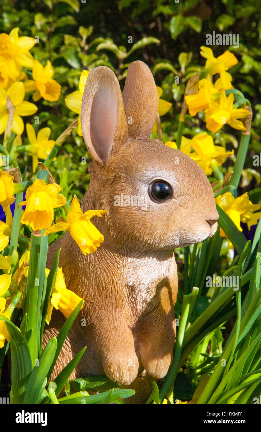 Rabbiit hi-res stock photography and images - Alamy