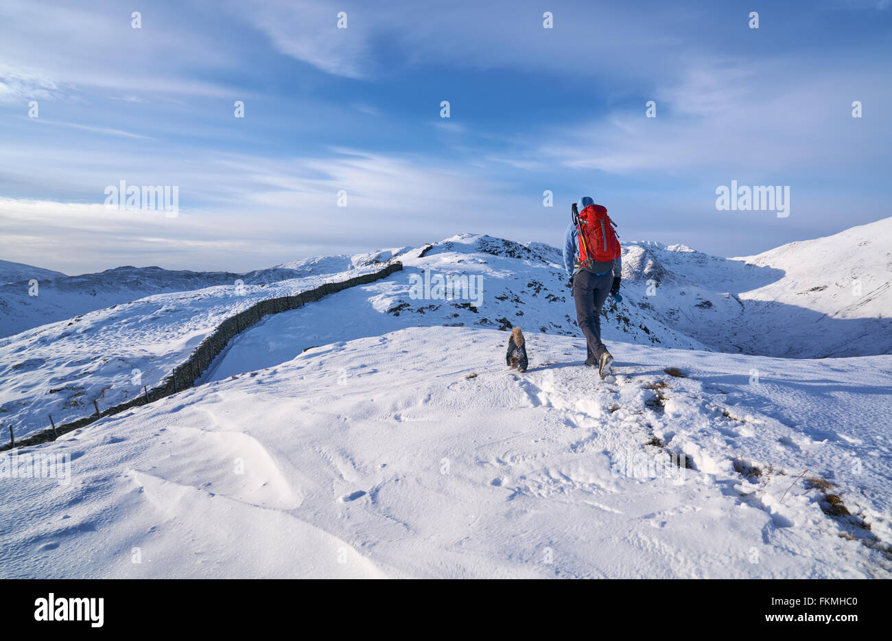Hiker walking their dog along Hartsop Above How above Deepdale beck ...
