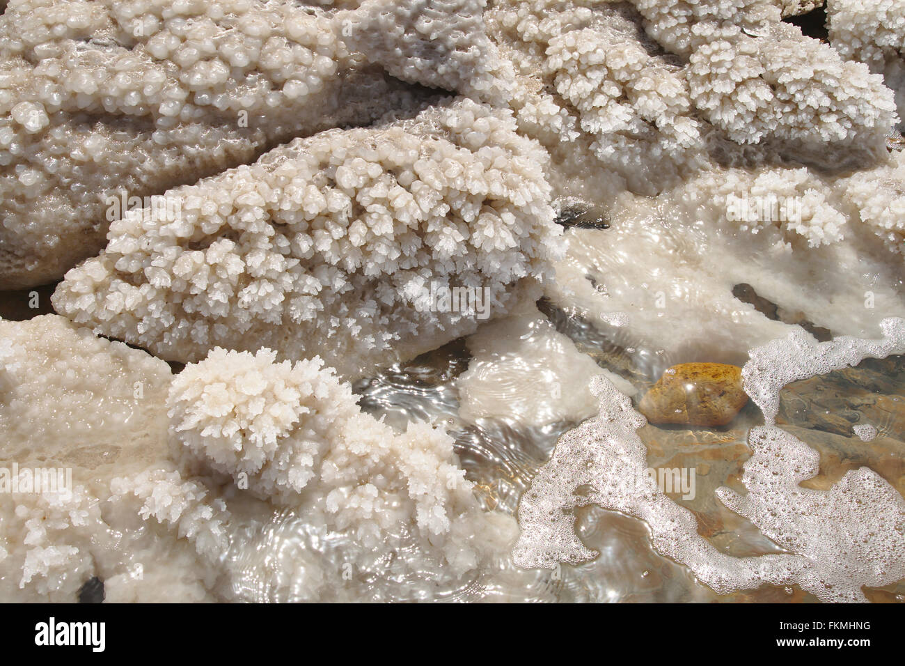 Salt deposits on the shore of the Dead Sea, Wadi Mujib Reserve, Jordan ...