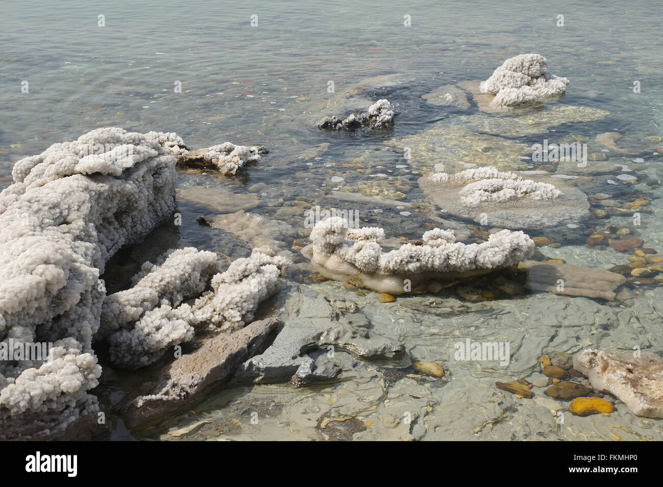 Salt deposits on the shore of the Dead Sea, Wadi Mujib Reserve, Jordan ...