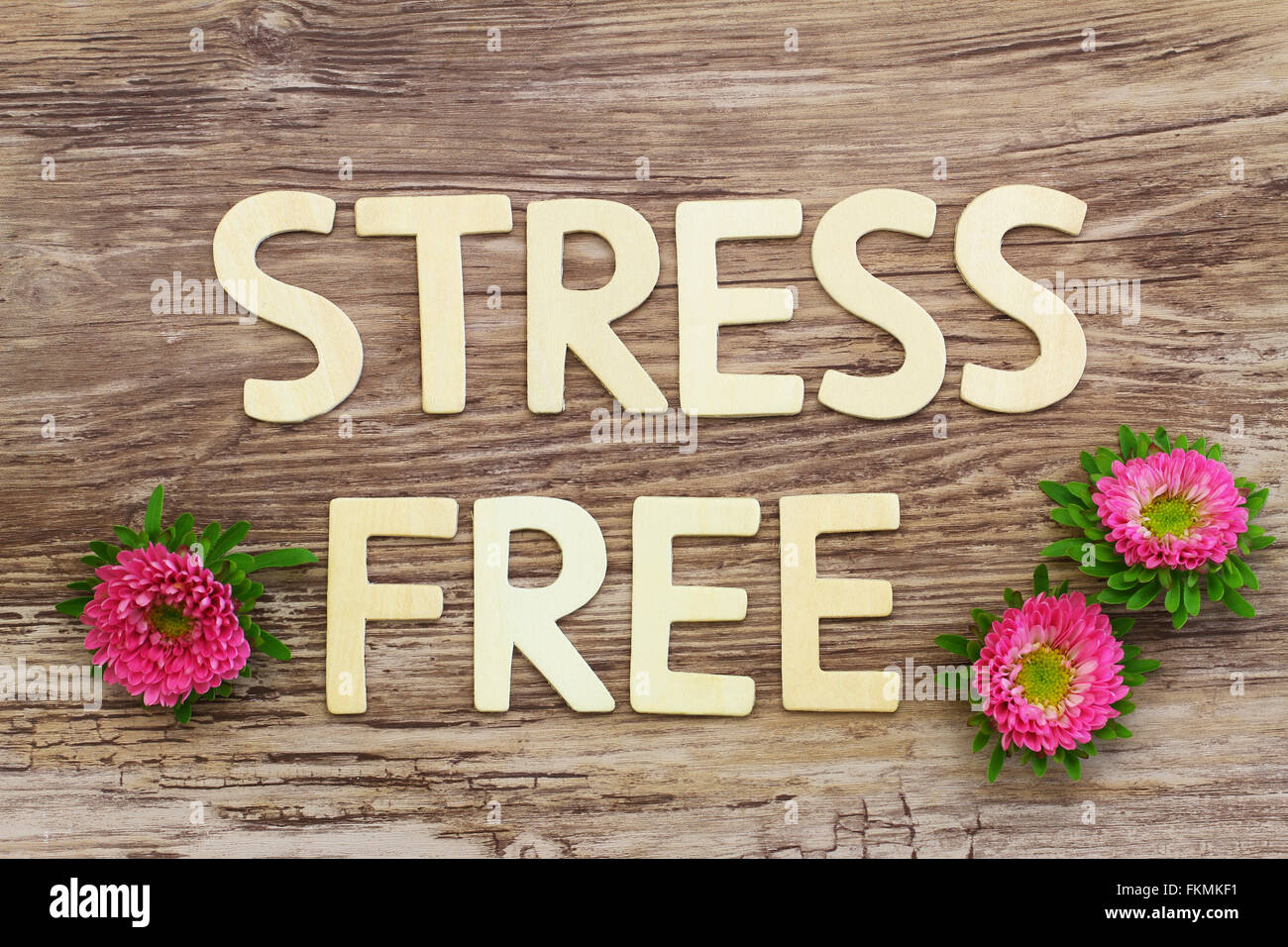 Stress free written with wooden letters and pink daisy flowers Stock ...