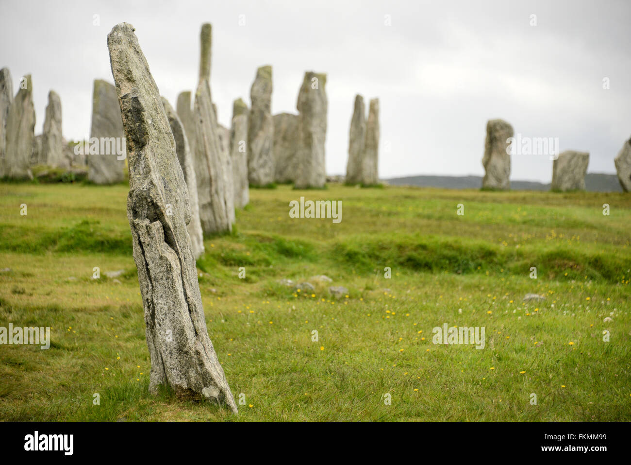 Petrified giants hi-res stock photography and images - Alamy