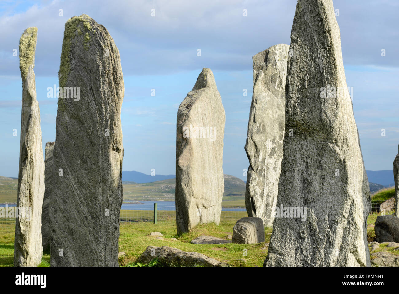 Petrified giants hi-res stock photography and images - Alamy