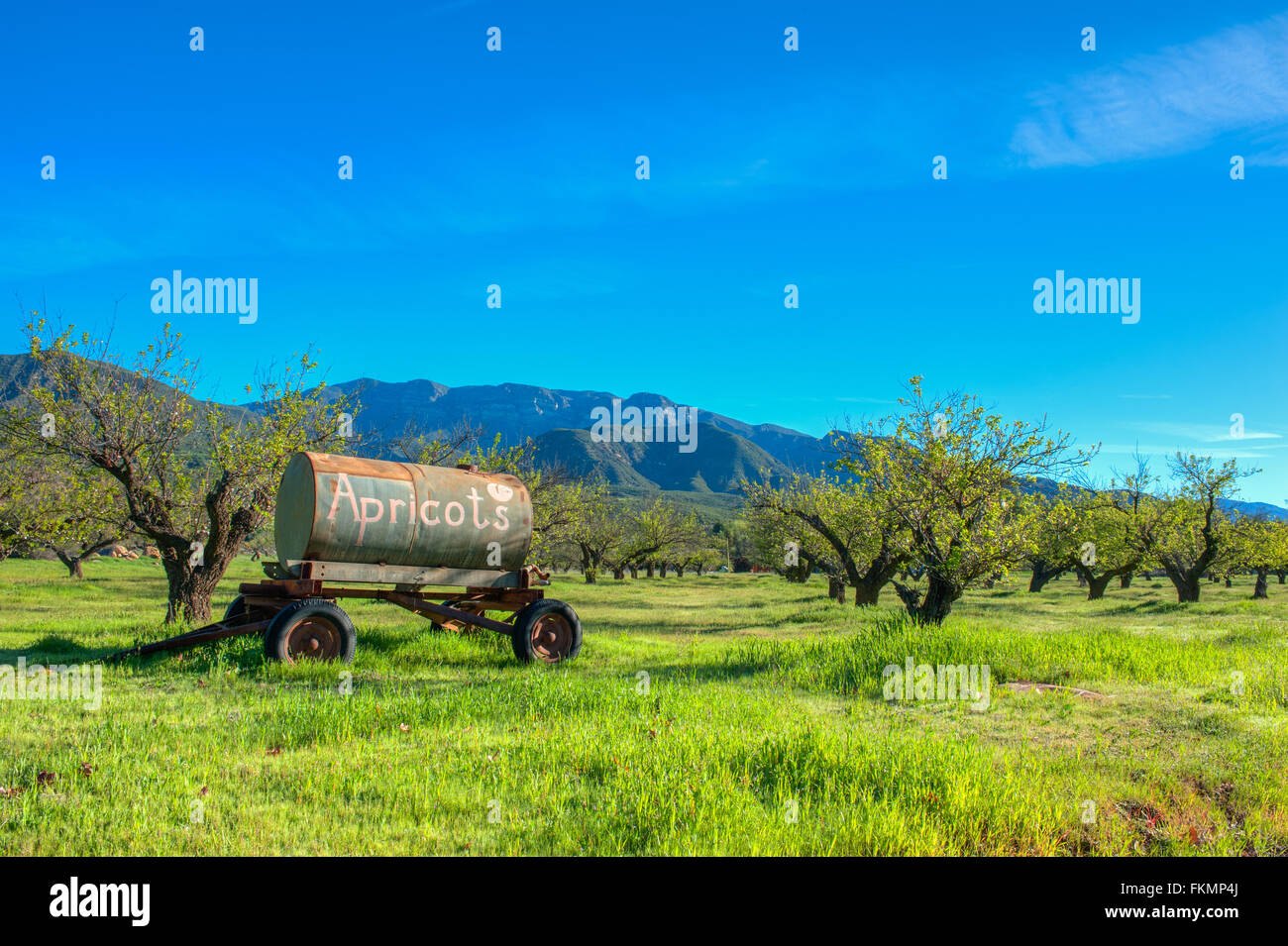Changing growth hi-res stock photography and images - Alamy