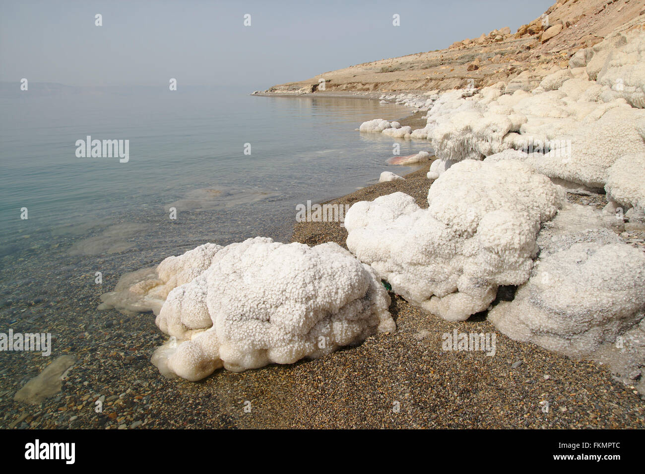 Salt deposits on the shore of the Dead Sea, Wadi Mujib Reserve, Jordan ...