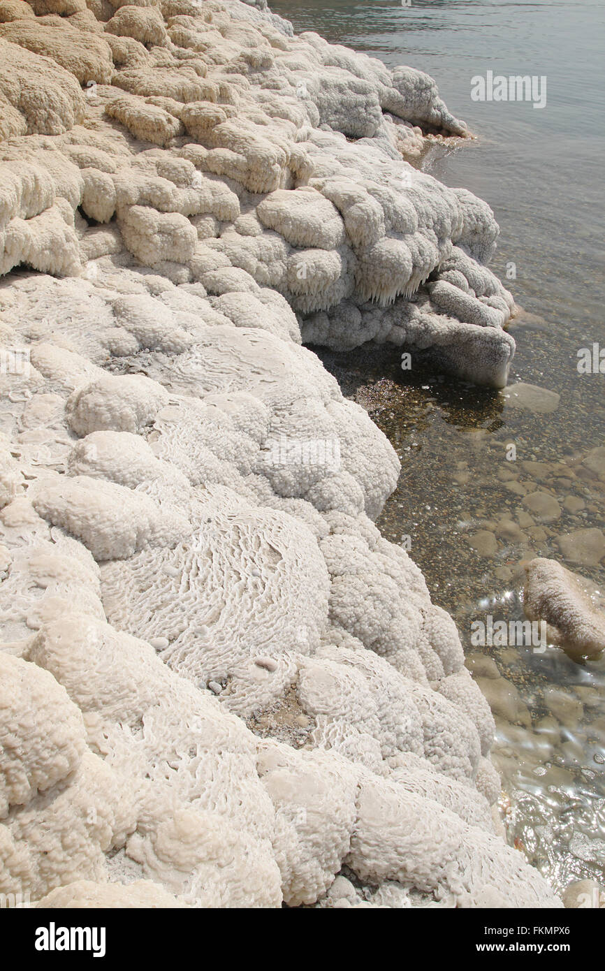 Salt deposits on the shore of the Dead Sea, Wadi Mujib Reserve, Jordan ...