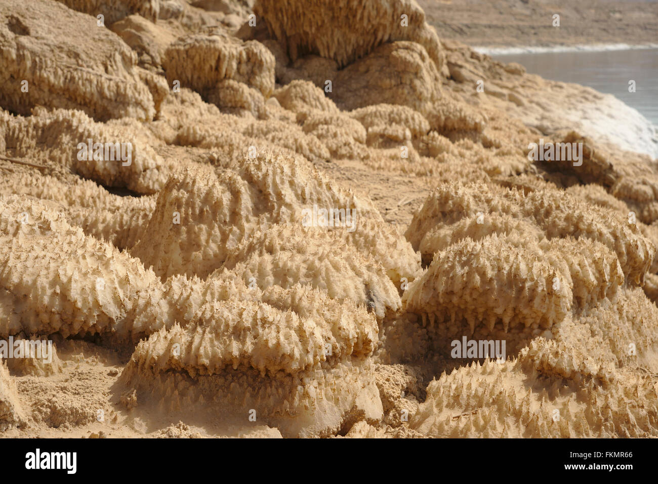 Salt deposits on the shore of the Dead Sea, Wadi Mujib Reserve, Jordan ...