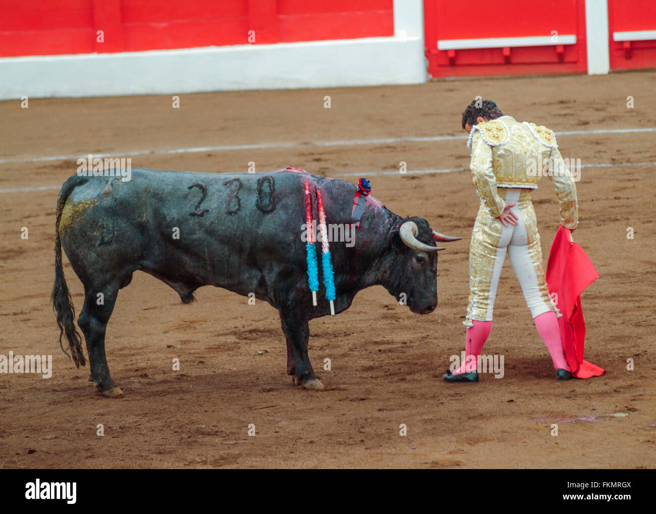 Bullfight, Matador and bull in the arena, Santander, Cantabria, Spain ...