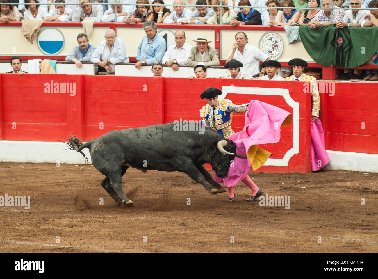 Bullfight, Matador and bull in the arena, Santander, Cantabria, Spain ...