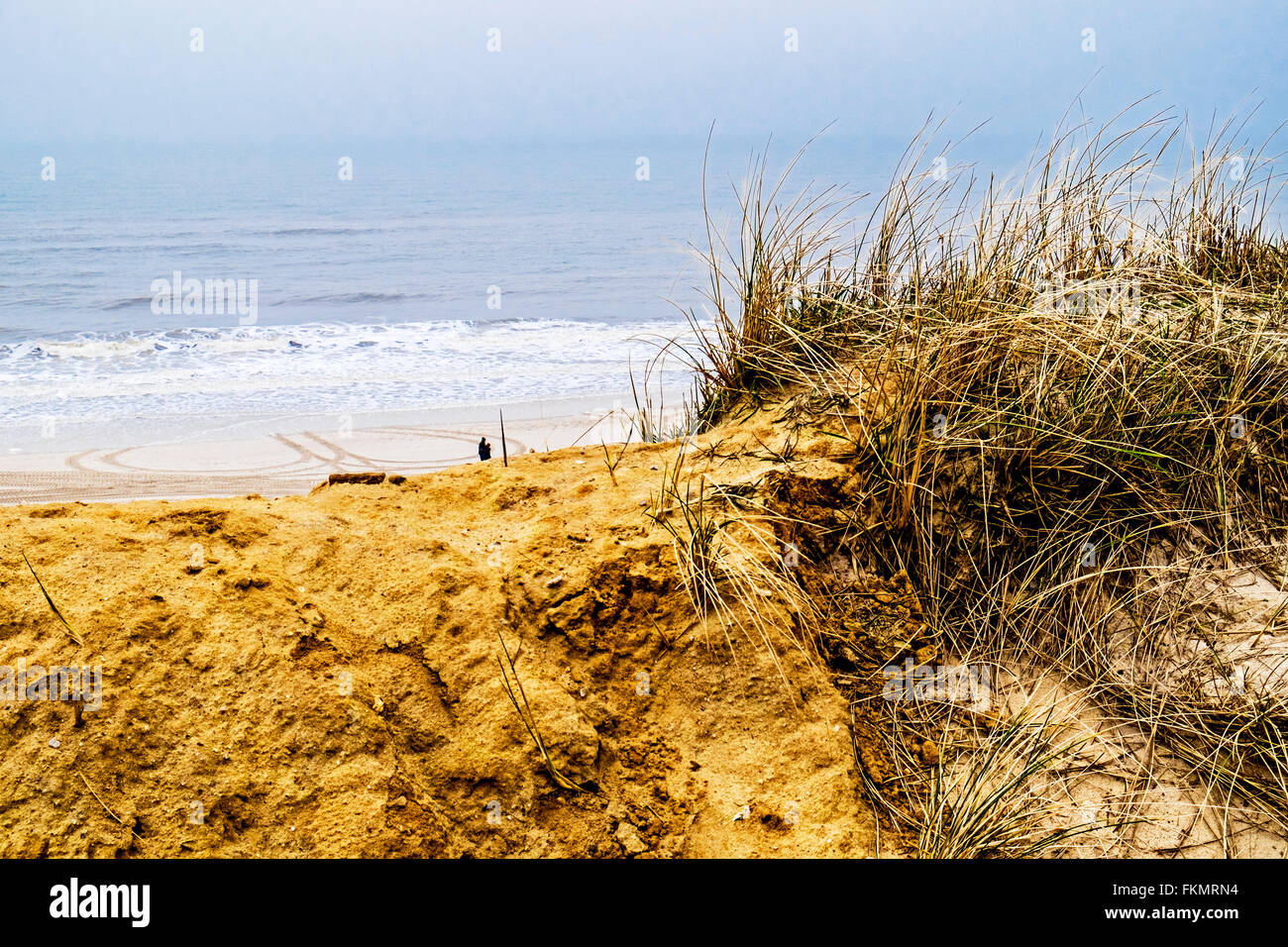 Dünen oberhalb des Strandes von Sylt; dunes of the Isle of Sylt Stock ...